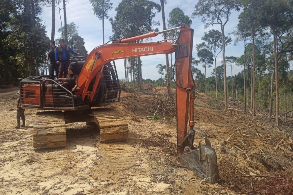 Pemilik Alat Berat Perambah Hutan di Kampar Dipanggil DLHK Riau